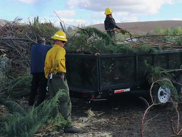 What did we learn from the Caughlin Fire? | Extension | University of ...