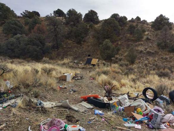 Resident Perceptions of Illegal Dumping In Northern Nevada | Extension ...