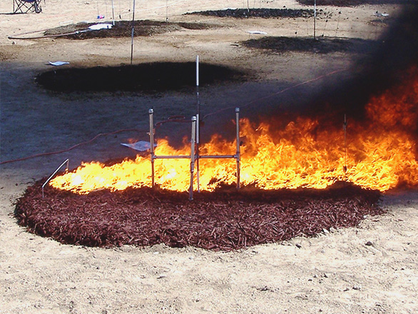The Combustibility of Landscape Mulches | Extension | University of ...