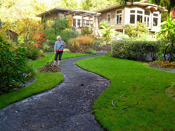 Ten Frequently Asked Questions About Defensible Space | Extension ...