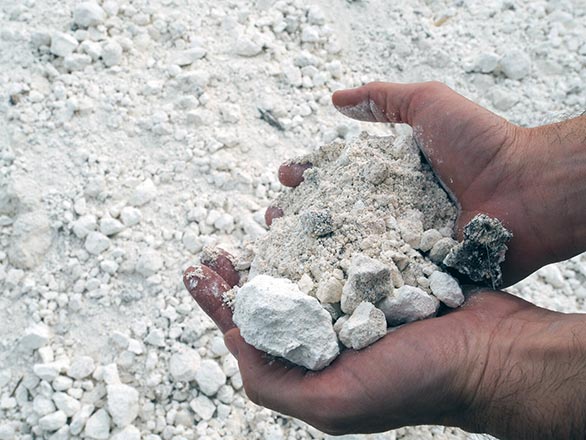 Nevada Soil Amendment Myths | Extension | University of Nevada, Reno