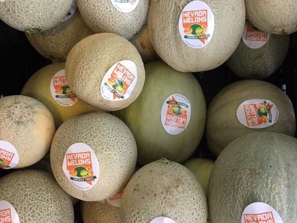 Melons and On-Farm Produce Safety | Extension | University of Nevada, Reno