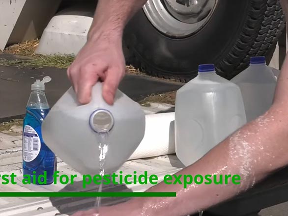 Pesticide Safety Training: Keeping Yourself Safe during Pesticide ...