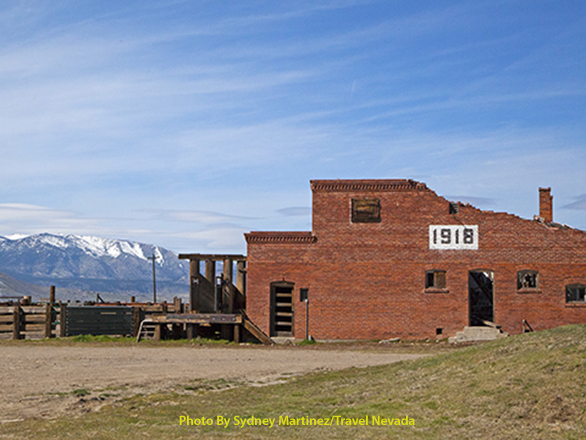 Economic Characteristics for Douglas County, Nevada | Experiment ...