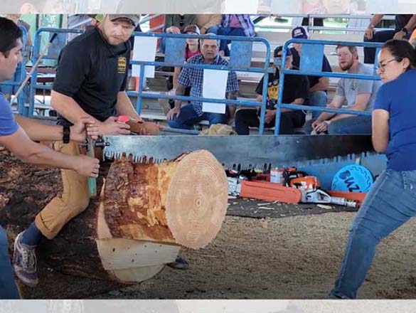 University's logging sports team cuts its way to victory | Extension ...