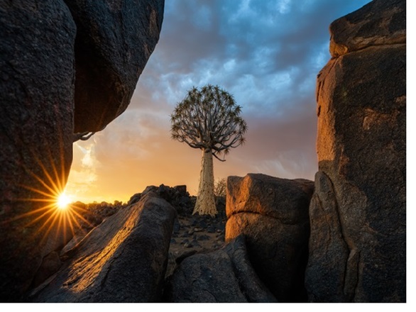 Healthy LIVING while aging! (2024-06) | Extension | University of ...