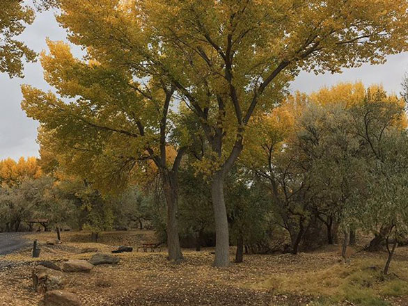 Rye Patch State Recreation Area Infographics Packet | Extension ...