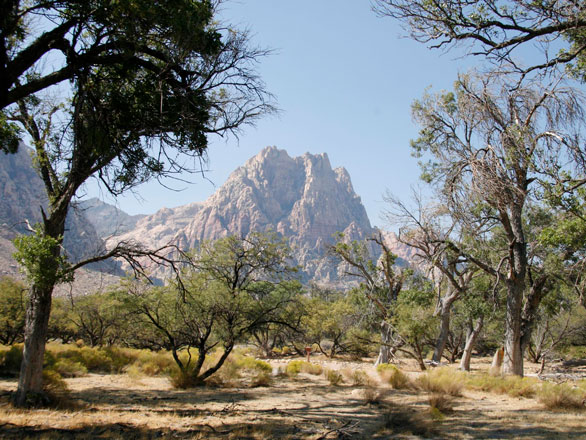 Spring Mountain Ranch State Park Infographics Packet | Extension ...