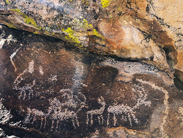 Lincoln County Housing Infographic Set | Extension | University of ...