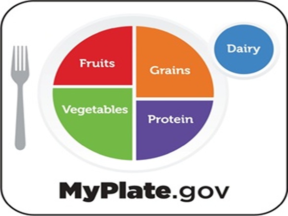 My Plate - Nutrition Information for Older Adults | Extension ...