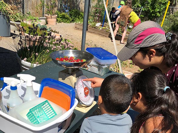 CLOSED Team Nutrition “Smart Choices” | Extension | University of ...